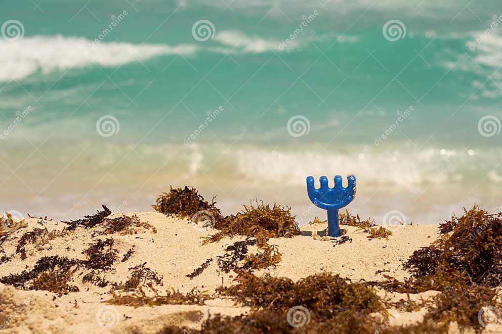 Plastic Rakes in the Sand on the Tropical Beach. Stock Image - Image of ...