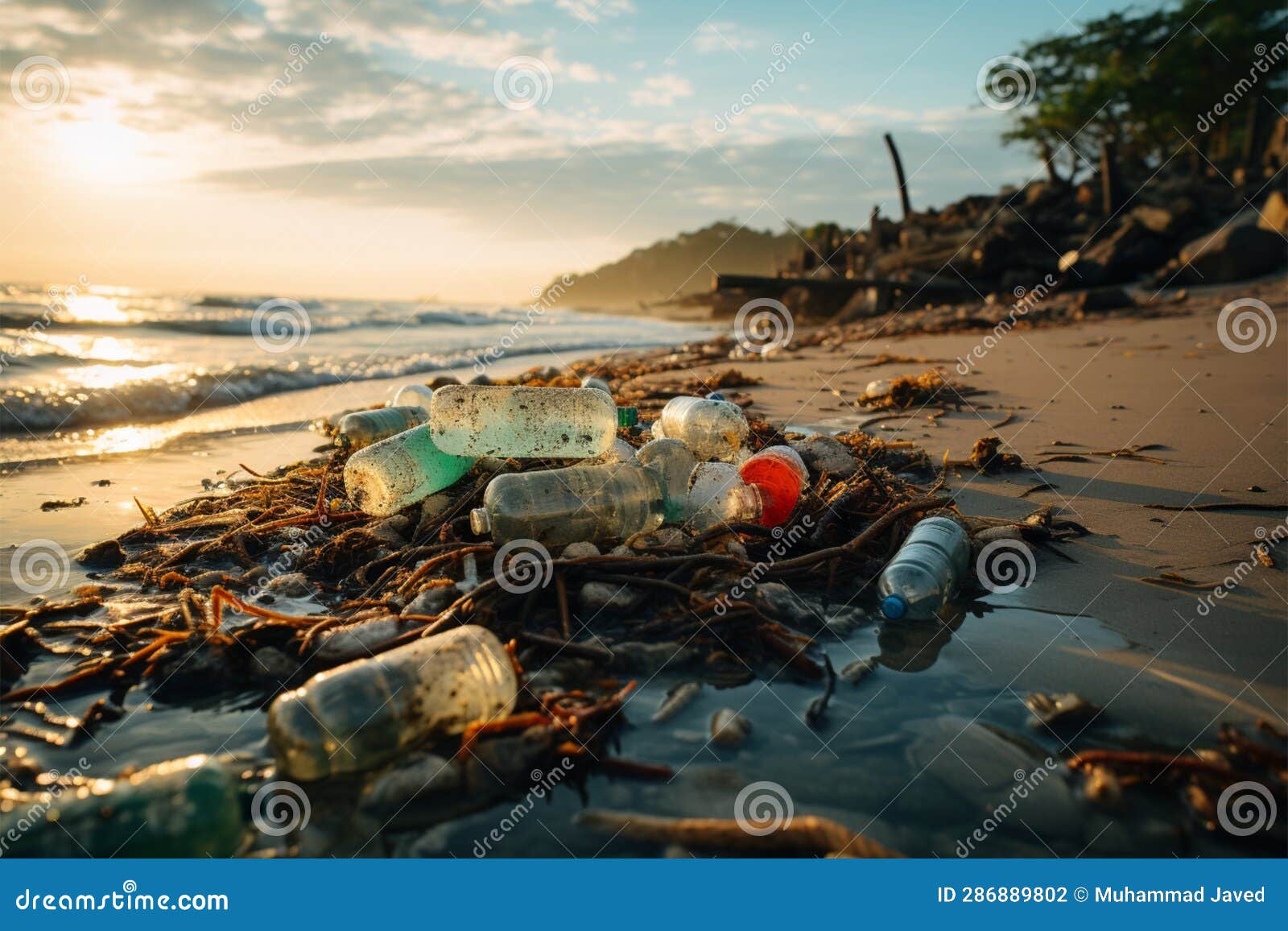 Plastic Remnants Scatter Beach, Underscoring Environmental Harm Caused ...