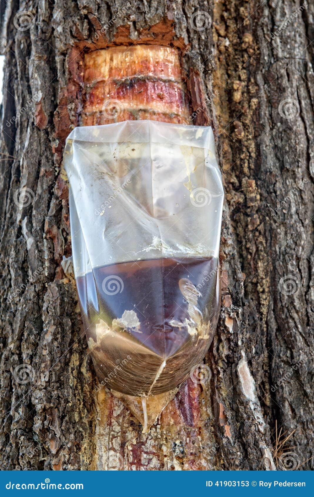 Plastic resin bag stock image. Image of sticky, nature - 41903153