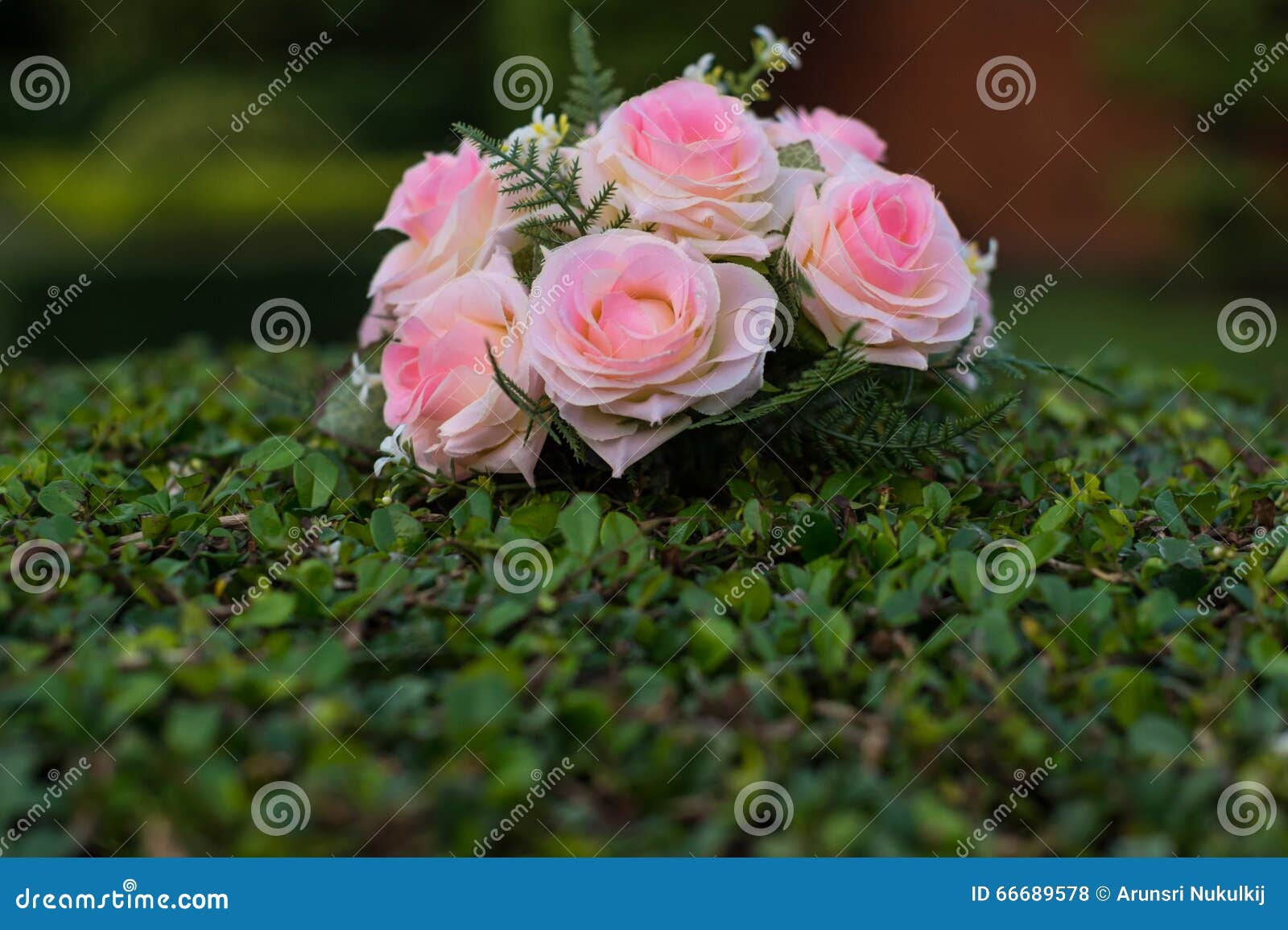 Plastic Roses Royalty-Free Stock Image | CartoonDealer.com #66689578