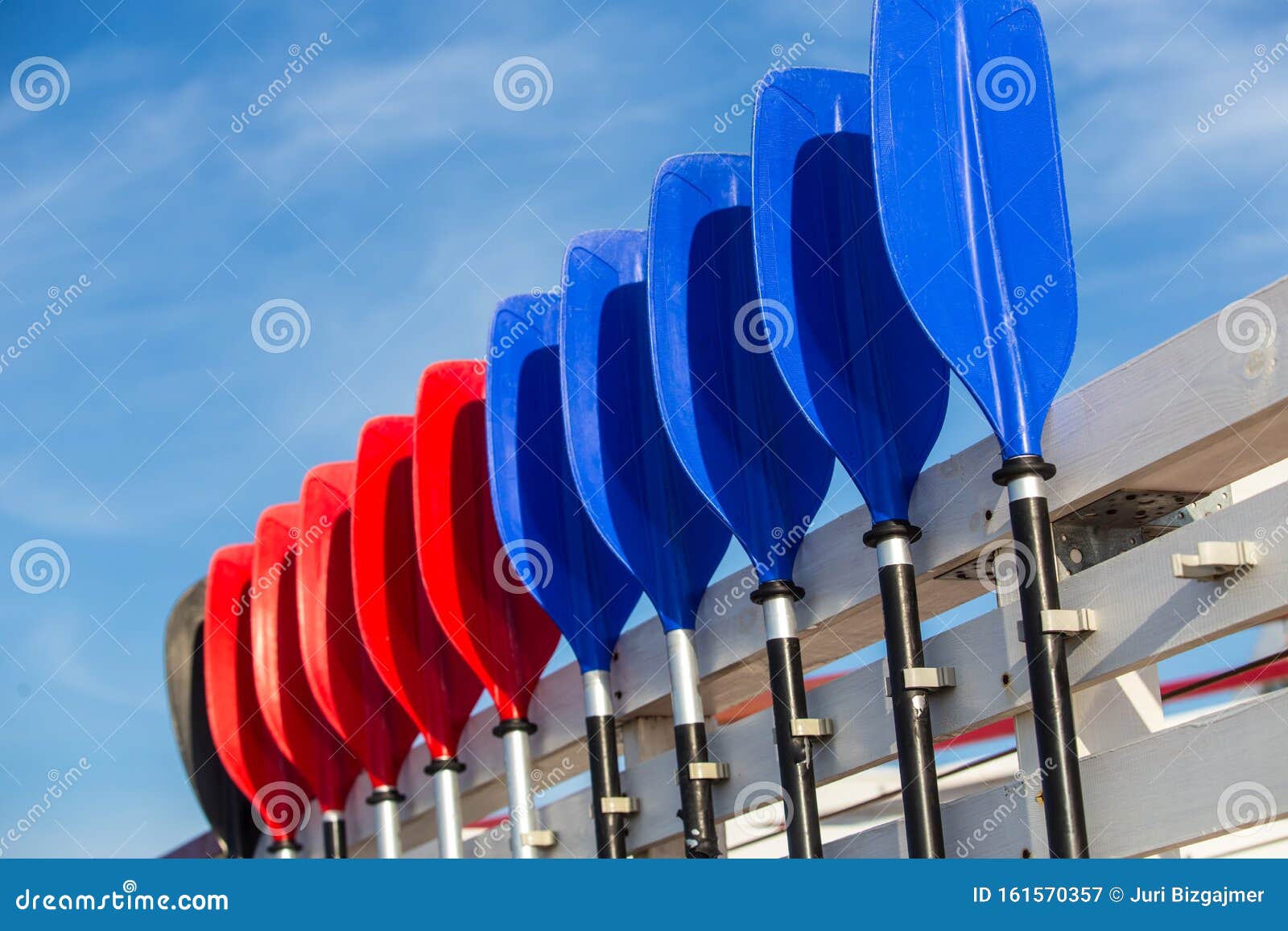 Plastic rowing oars stock image. Image of boat, fast - 161570357