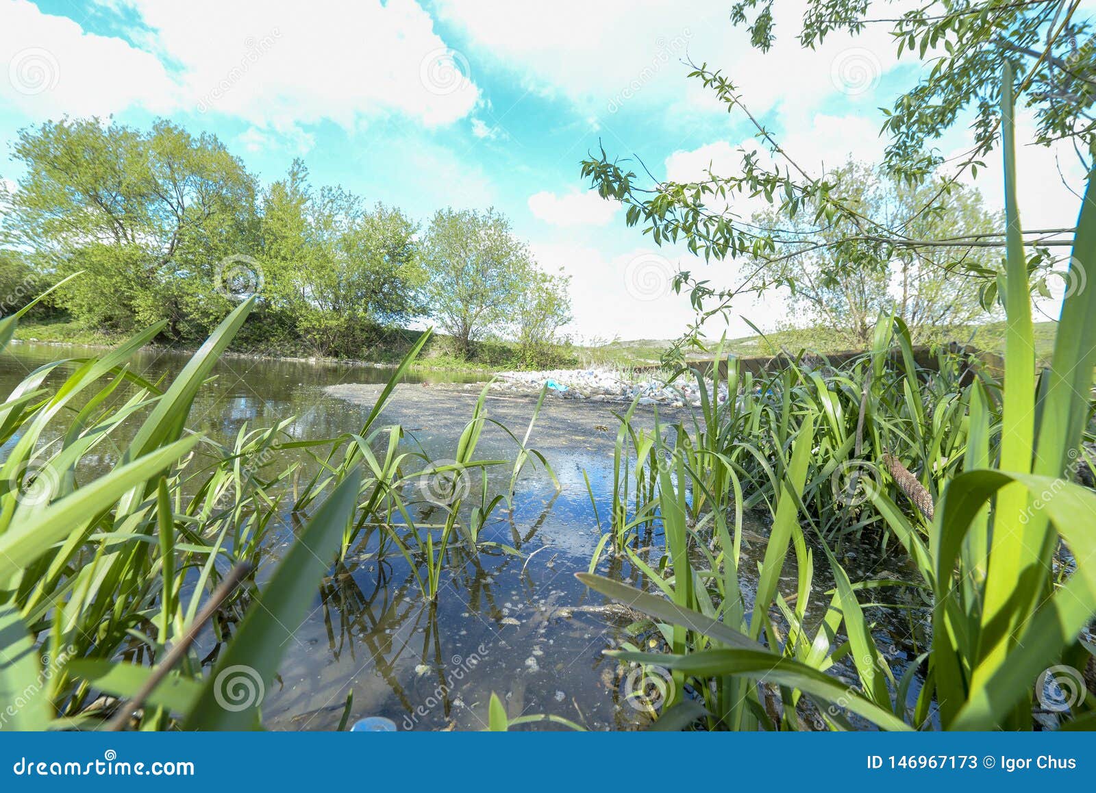Plastic Rubbish in the Seret River, Stock Image - Image of nature, pile ...