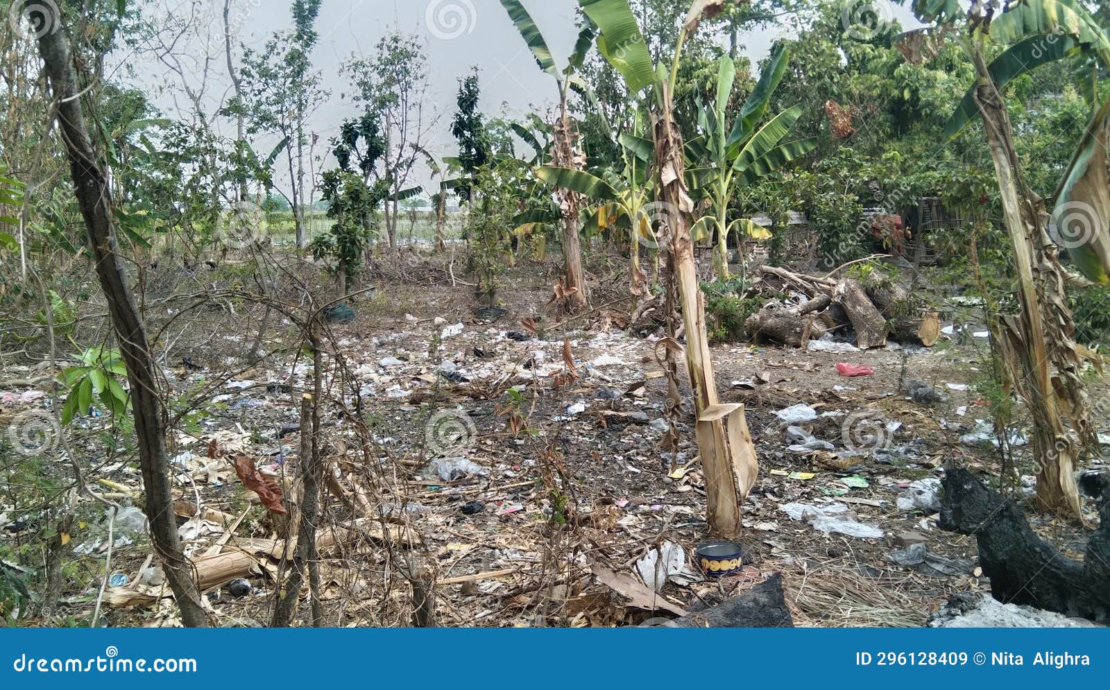 Plastic in the Rubbish in Tree Stock Image - Image of plantation ...