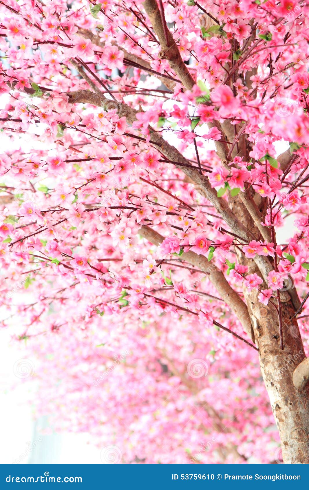 Plastic sakura stock photo. Image of season, plastic - 53759610