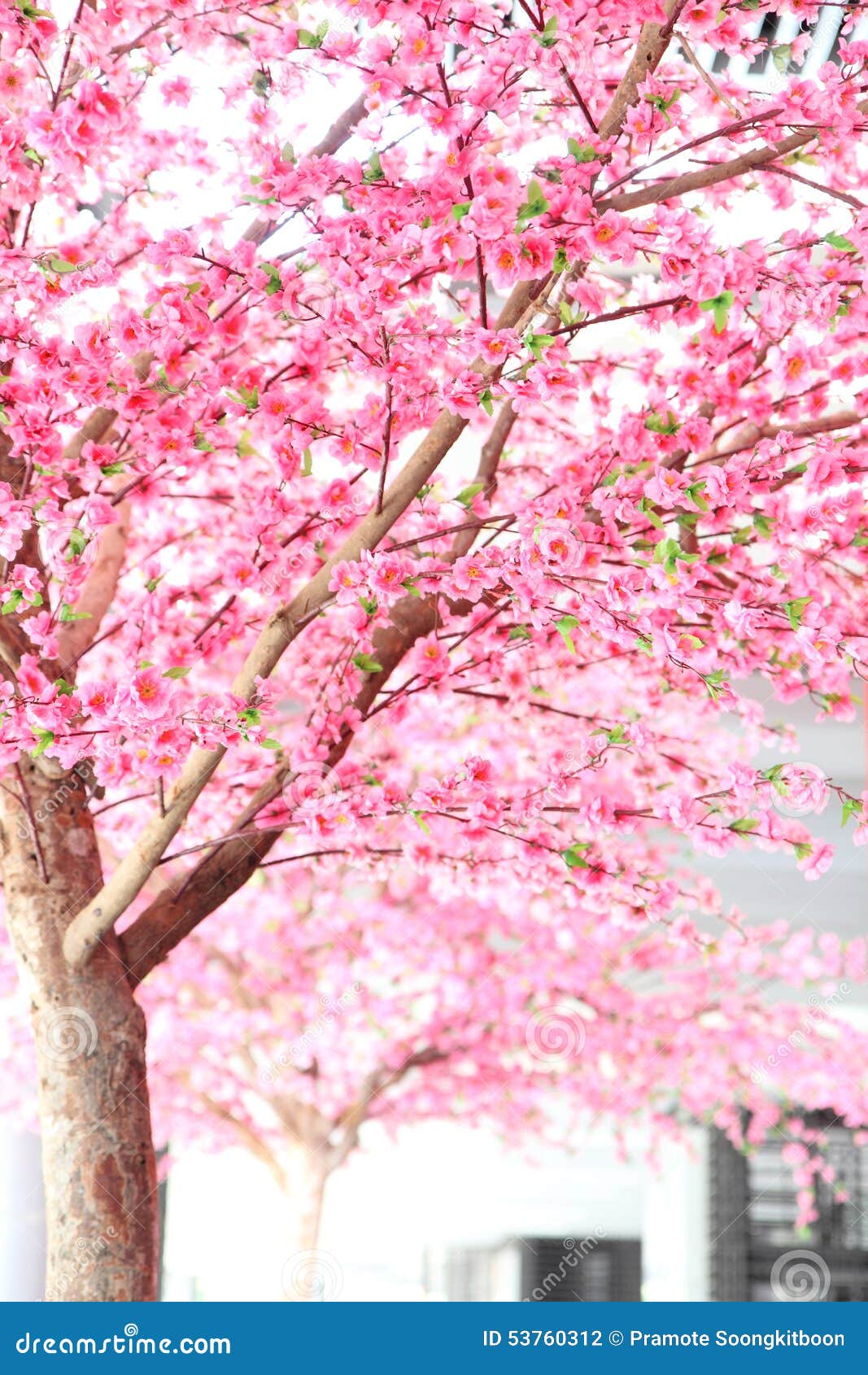 Plastic sakura stock photo. Image of tree, branch, city - 53760312