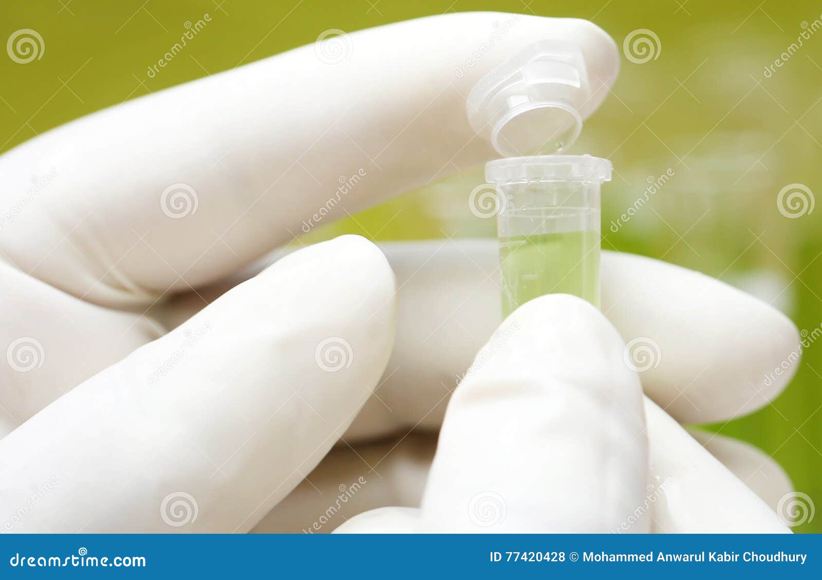 Plastic sample tube stock photo. Image of laboratory - 77420428