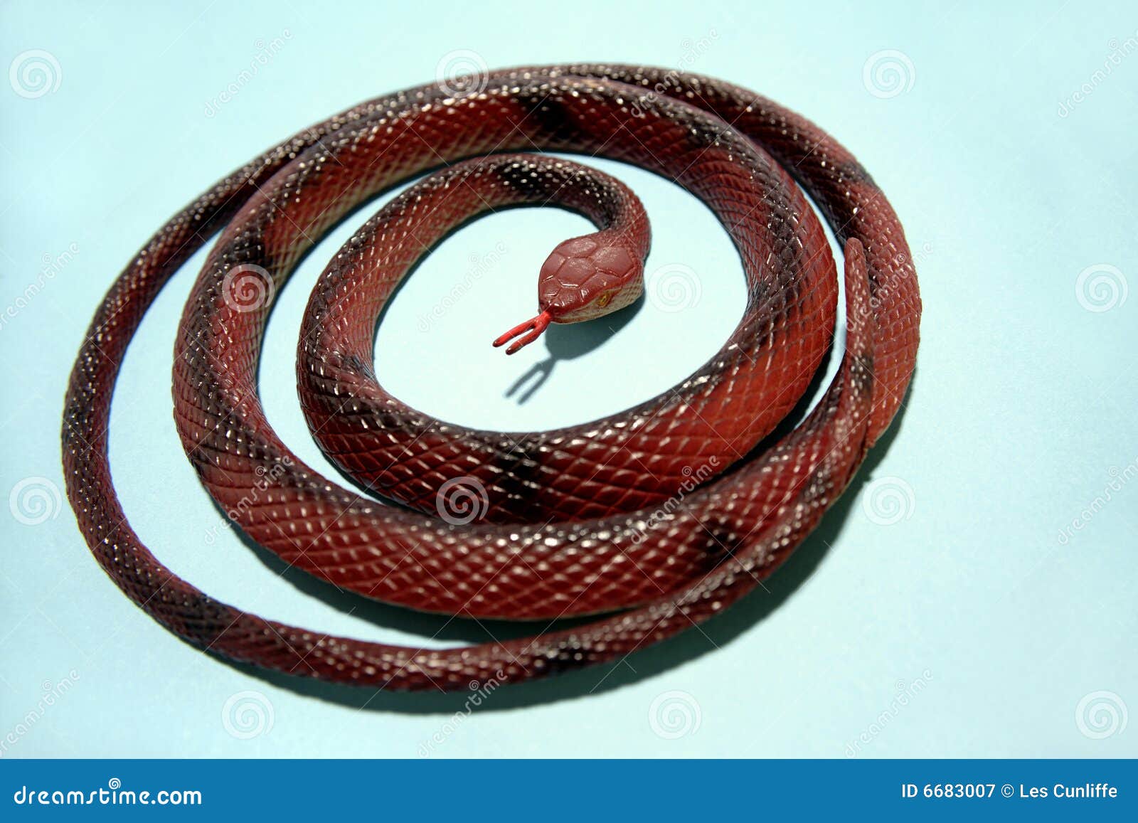 Plastic snake stock image. Image of plastic, closeup, macro - 6683007