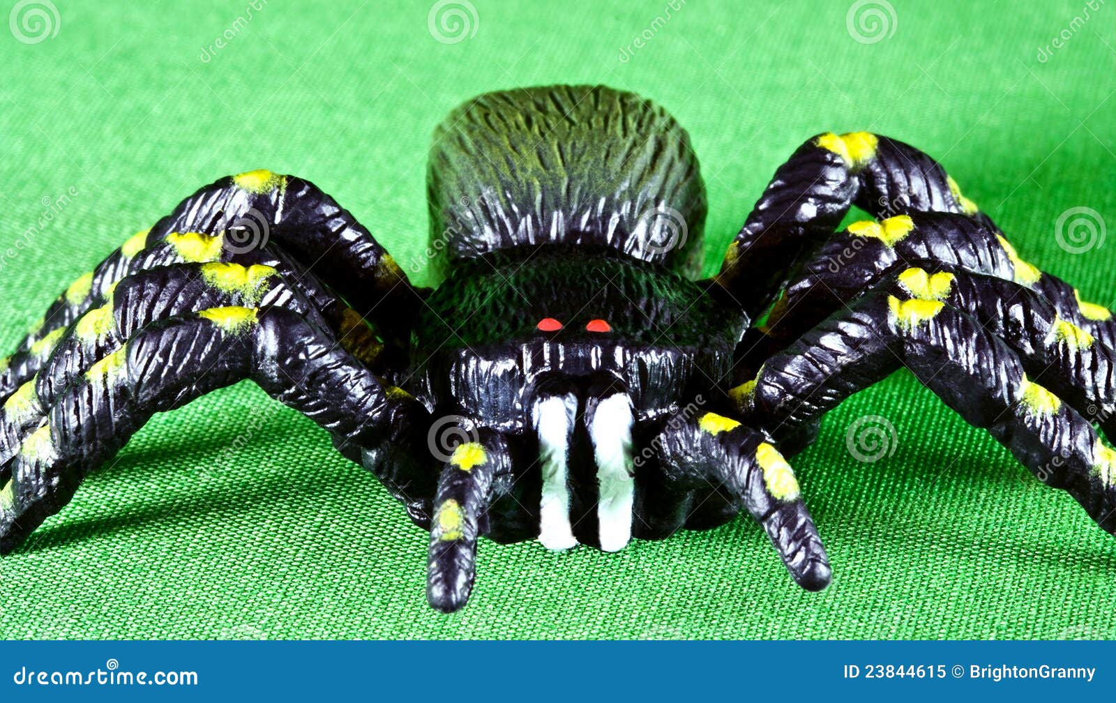 Plastic toy spider. stock image. Image of halloween, closeup - 23844615