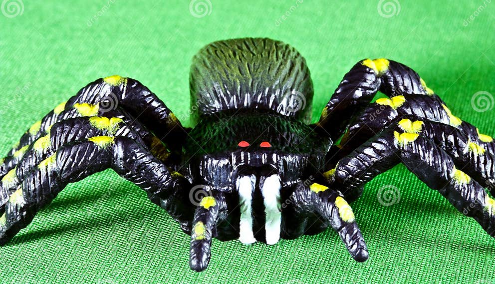 Plastic toy spider. stock image. Image of halloween, closeup - 23844615
