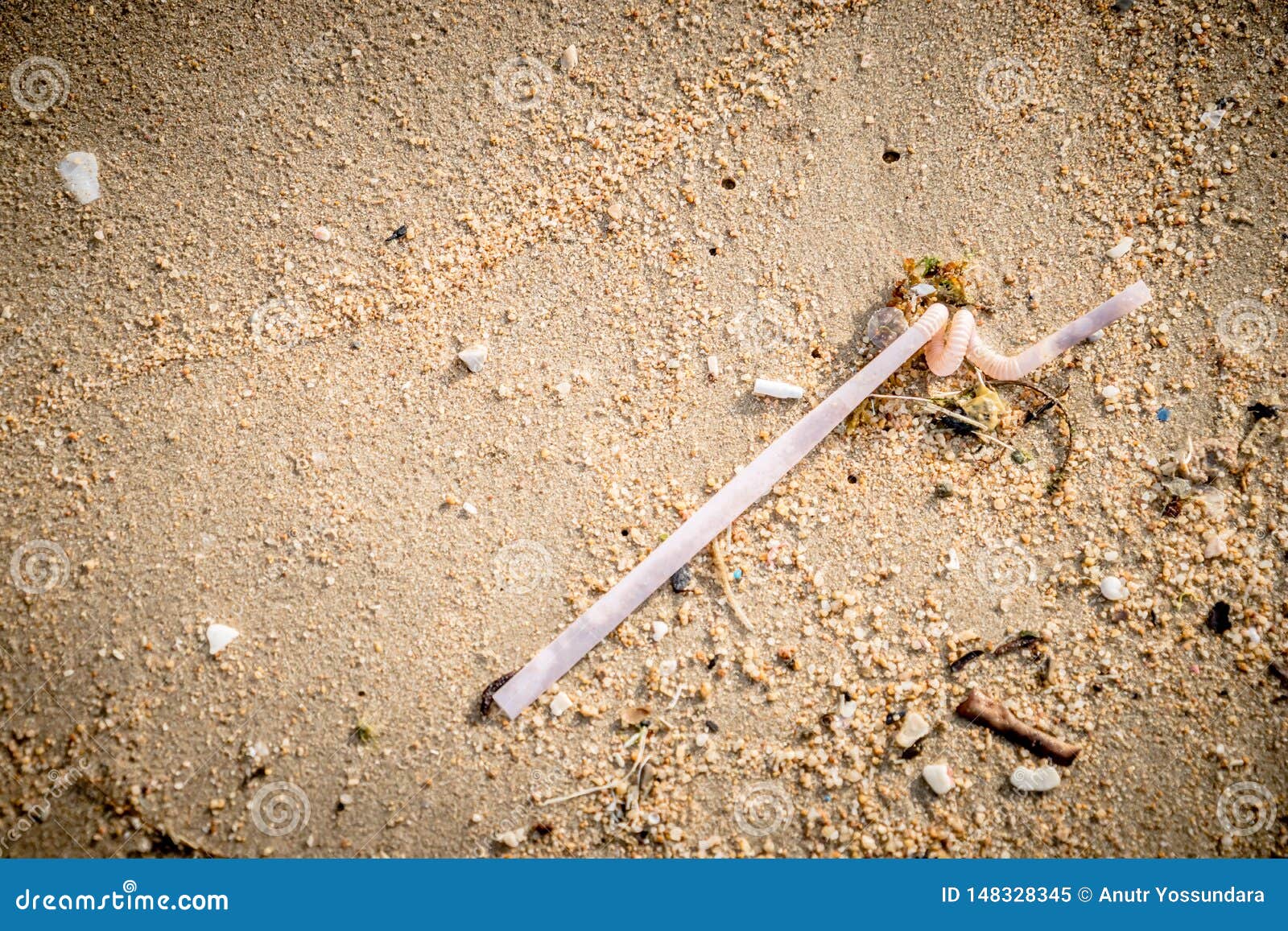 Plastic Straw Pollution Garbages on the Beach Stock Image - Image of ...