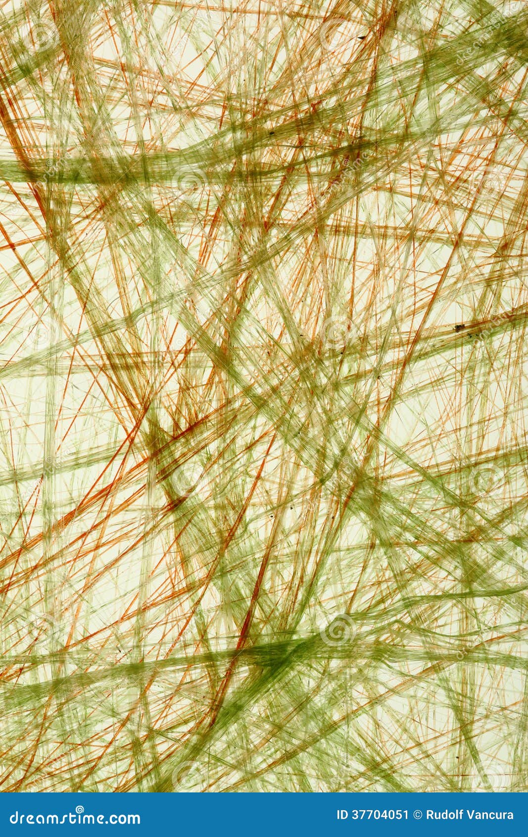 Plastic string mesh stock image. Image of material, line - 37704051