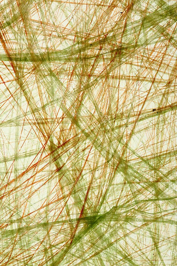 Plastic string mesh stock image. Image of material, line - 37704051