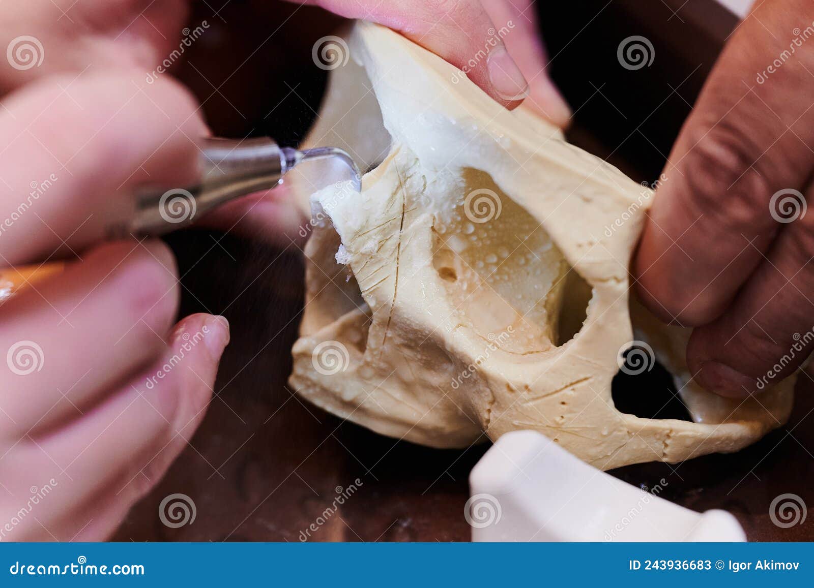 Work with a Piezo Instrument in the Educational Process of Bone ...