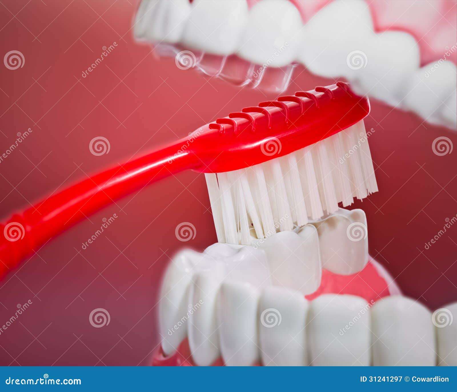 8,938 Gum Model Photos - Free & Royalty-Free Stock Photos from Dreamstime