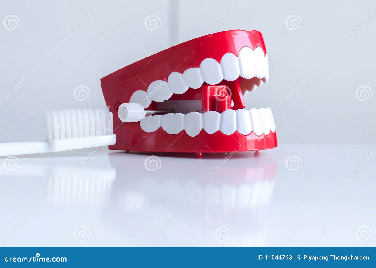 Plastic Teeth Models with Toothbrush and Toothpaste Stock Image - Image ...