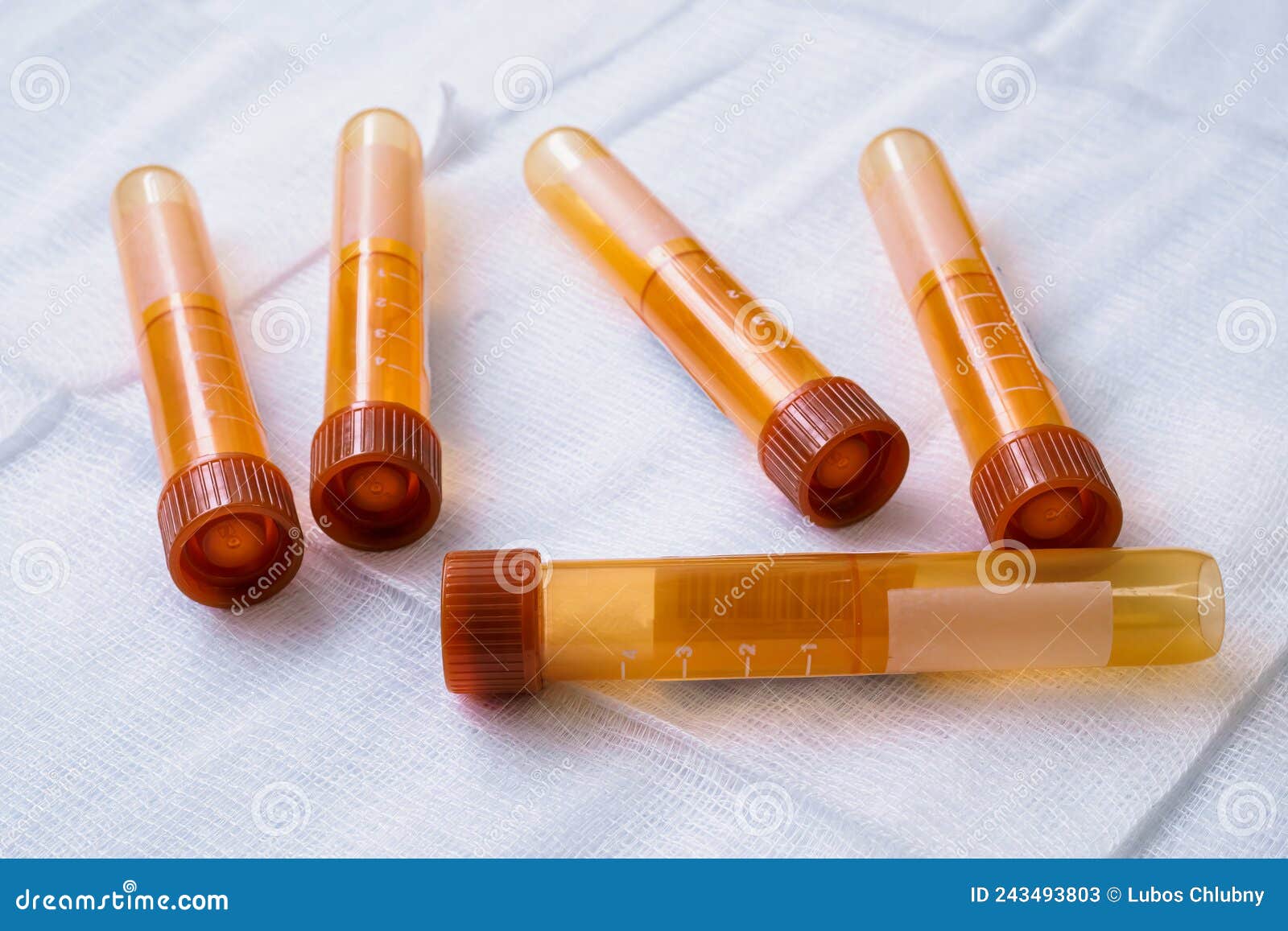 Plastic Test Tubes with Caps for the Collection of Samples. Blood ...