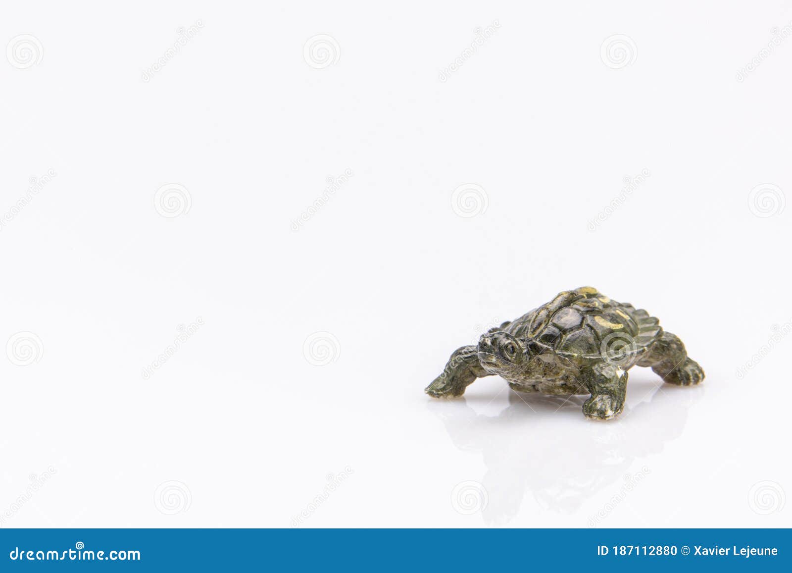 Plastic Tortoise Isolated on White Stock Photo - Image of miniature ...