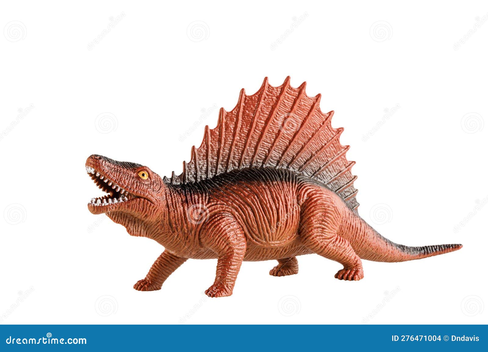 Dinosaur Isolated On White Background. Hand Painted Dinosaurs ...
