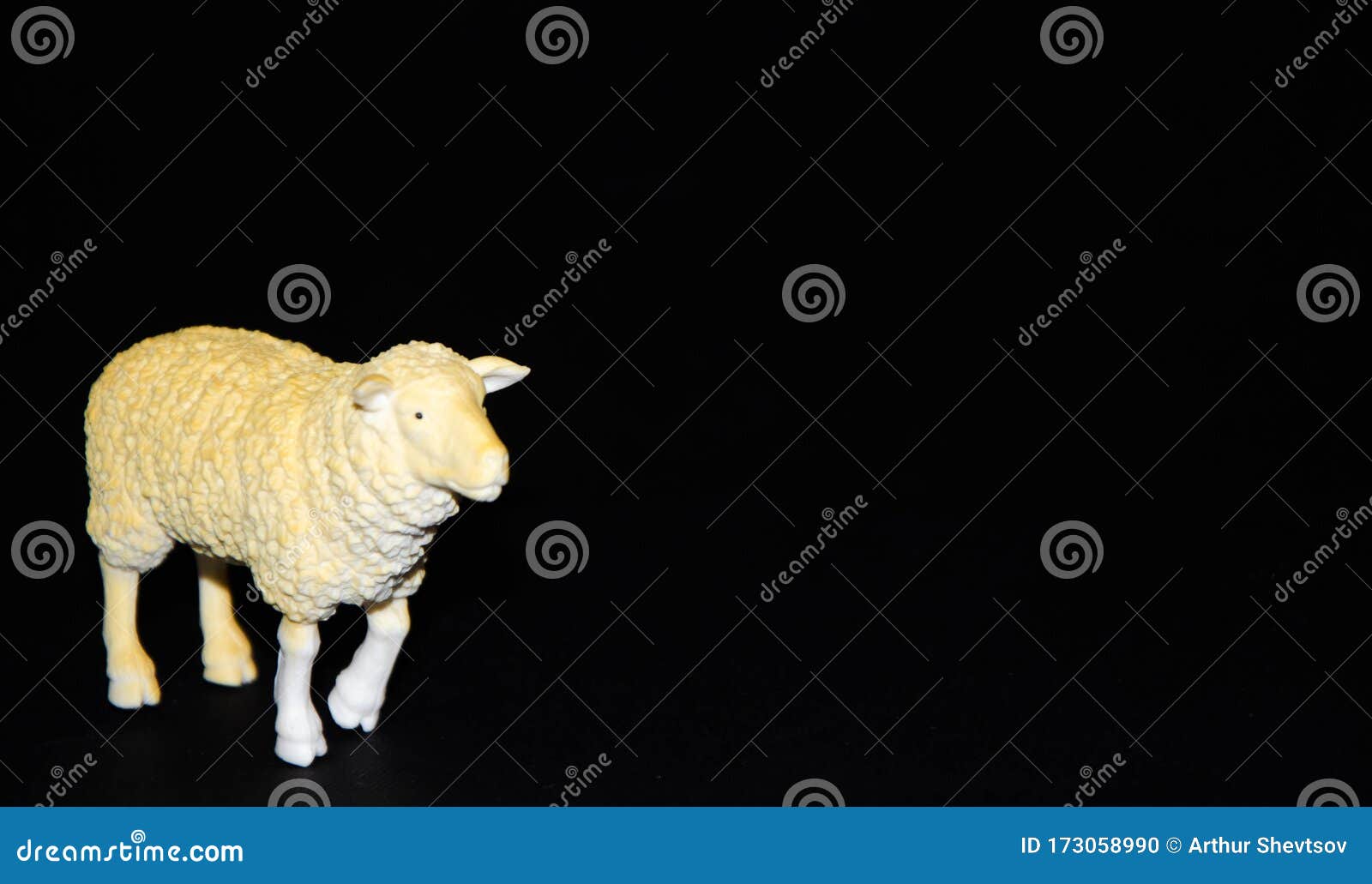 Plastic Toy Sheep On A Black Background. Realistic Toy Copy Space Stock ...