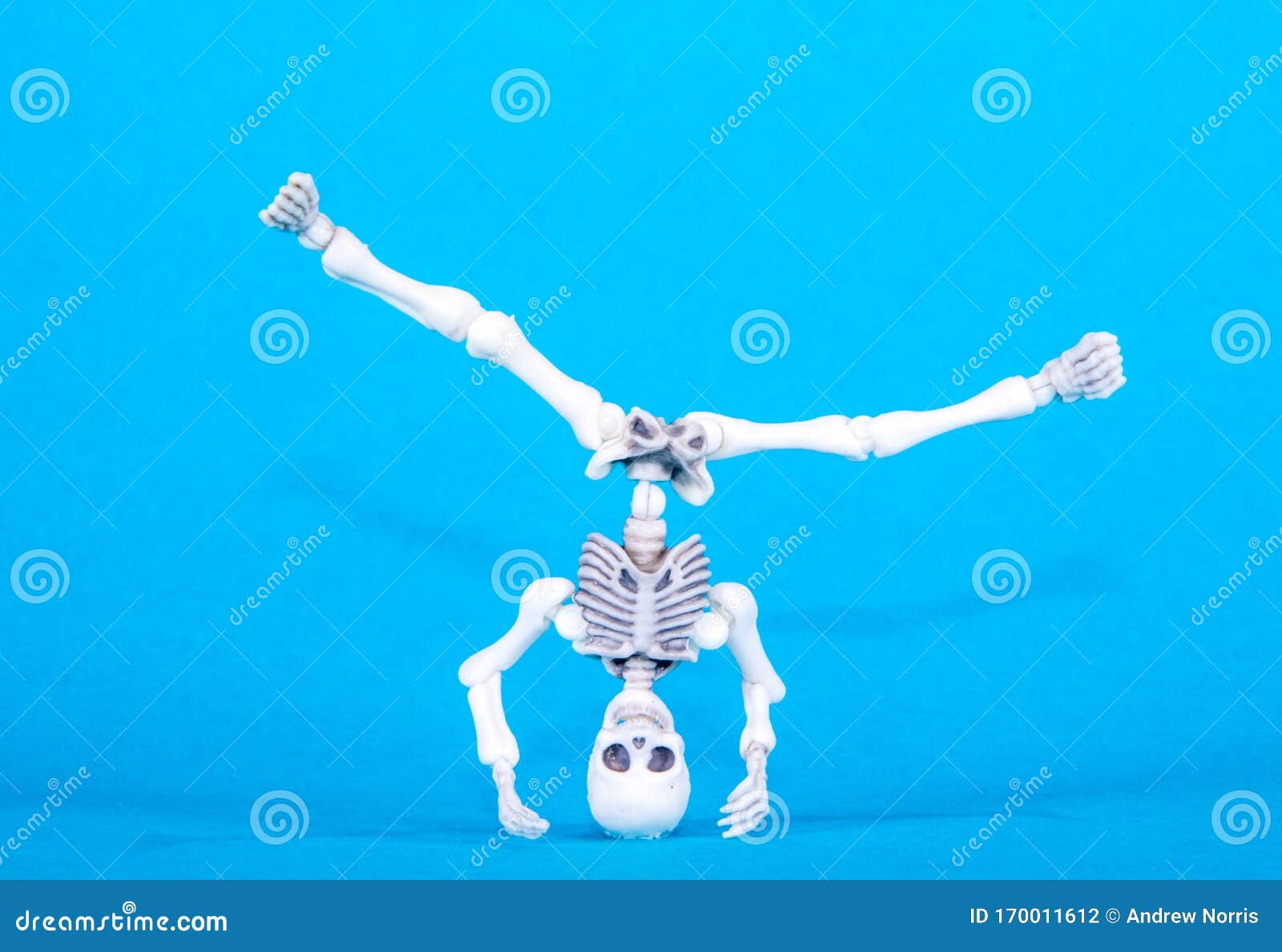 Headstand Celebrating Skeleton Stock Photo - Image of blank, open ...