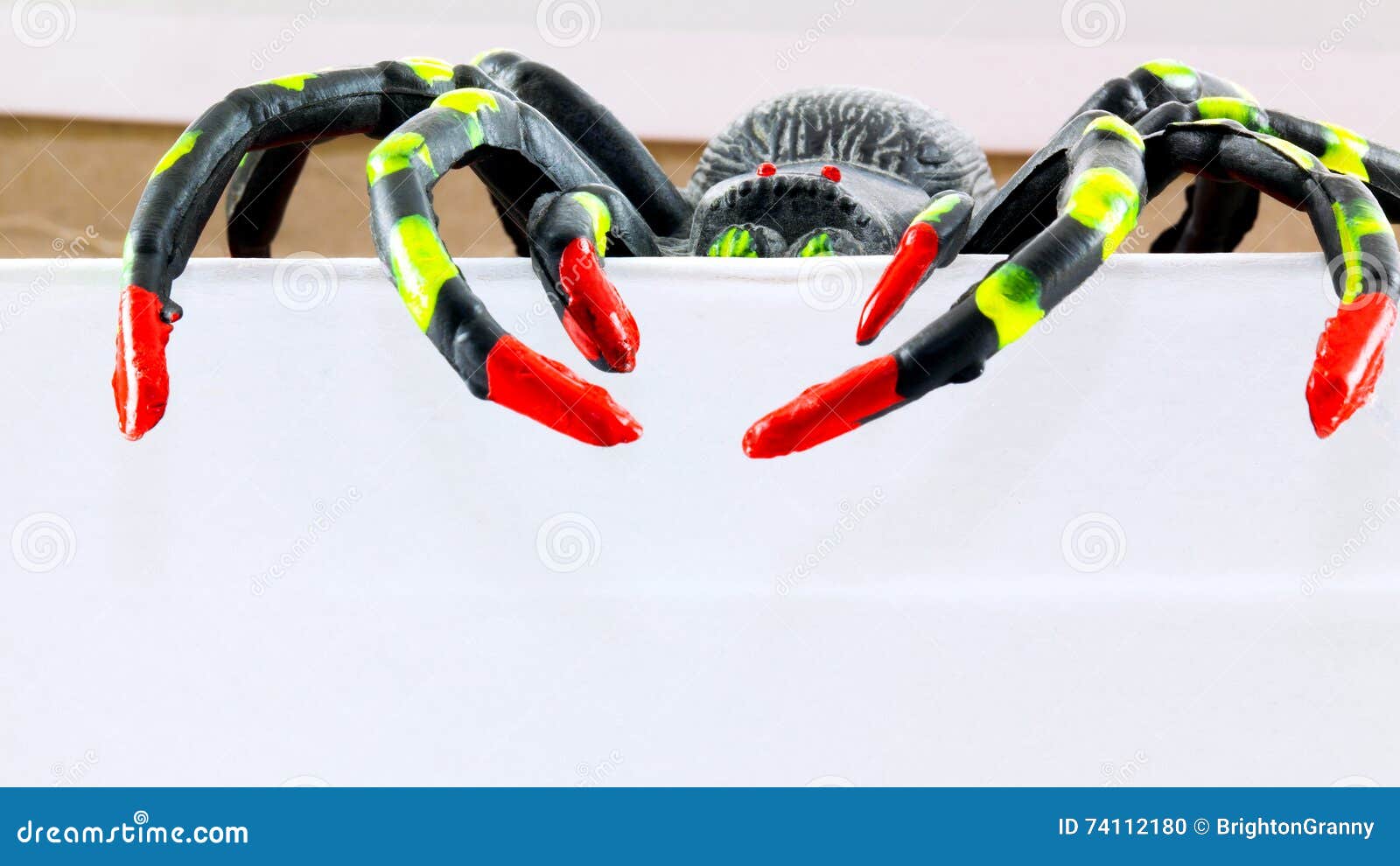 Plastic toy spider in box stock photo. Image of climbing - 74112180