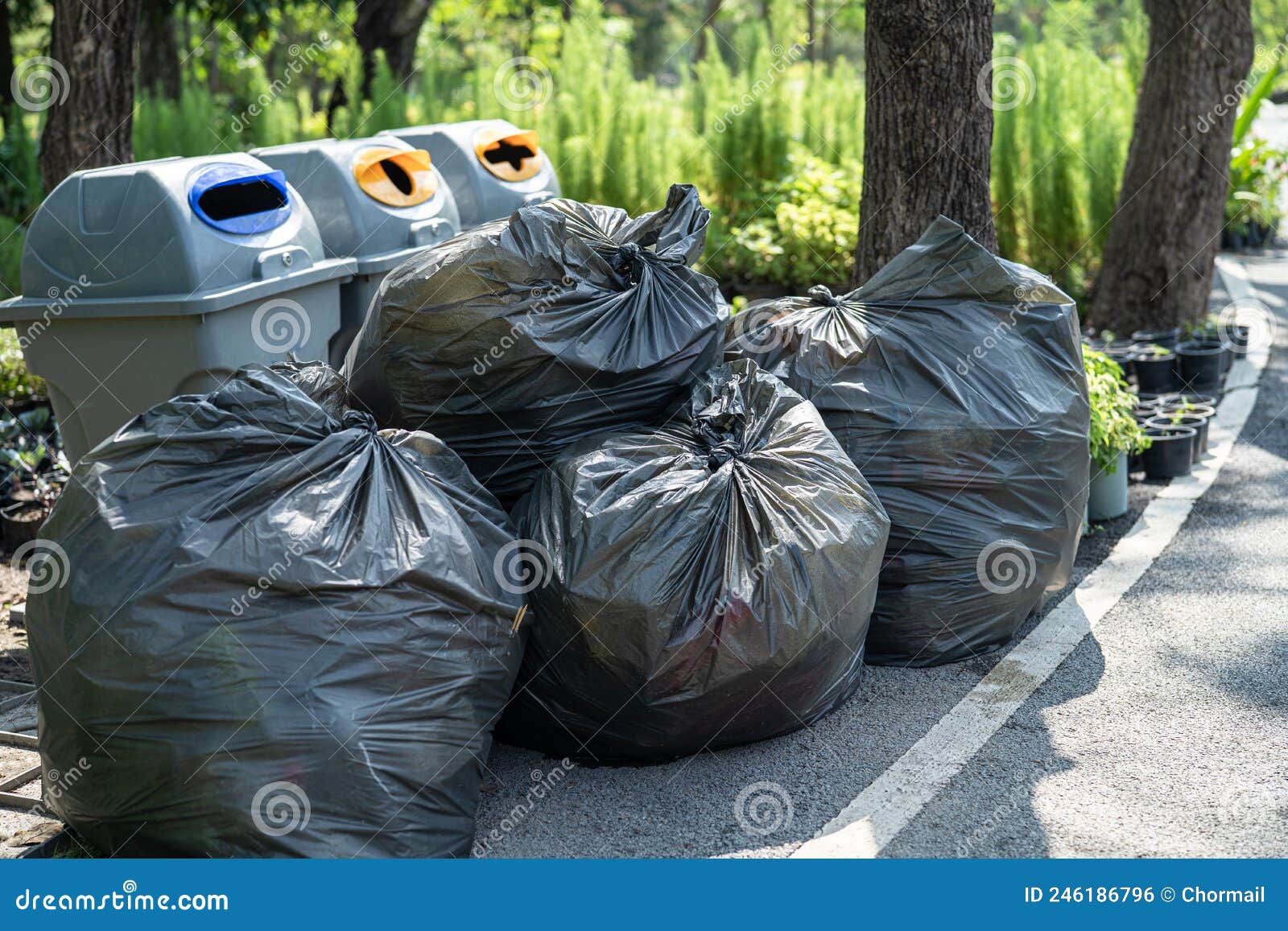 Plastic Trash Bin Bags of Garbage on the Pavement in Park, Clean ...