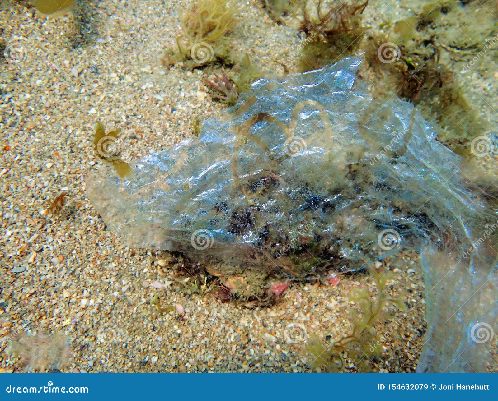 Plastic Trash on the Bottom of the Ocean Stock Image - Image of ...