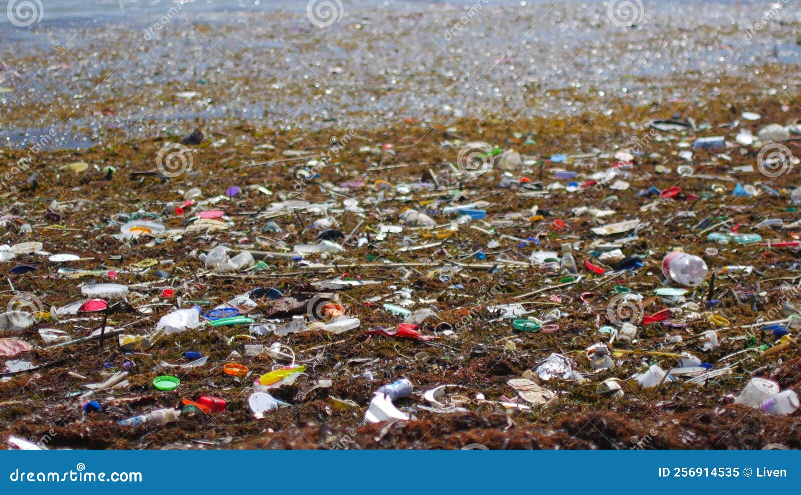 Plastic Trash on the Coast after High Tide Stock Video - Video of ...