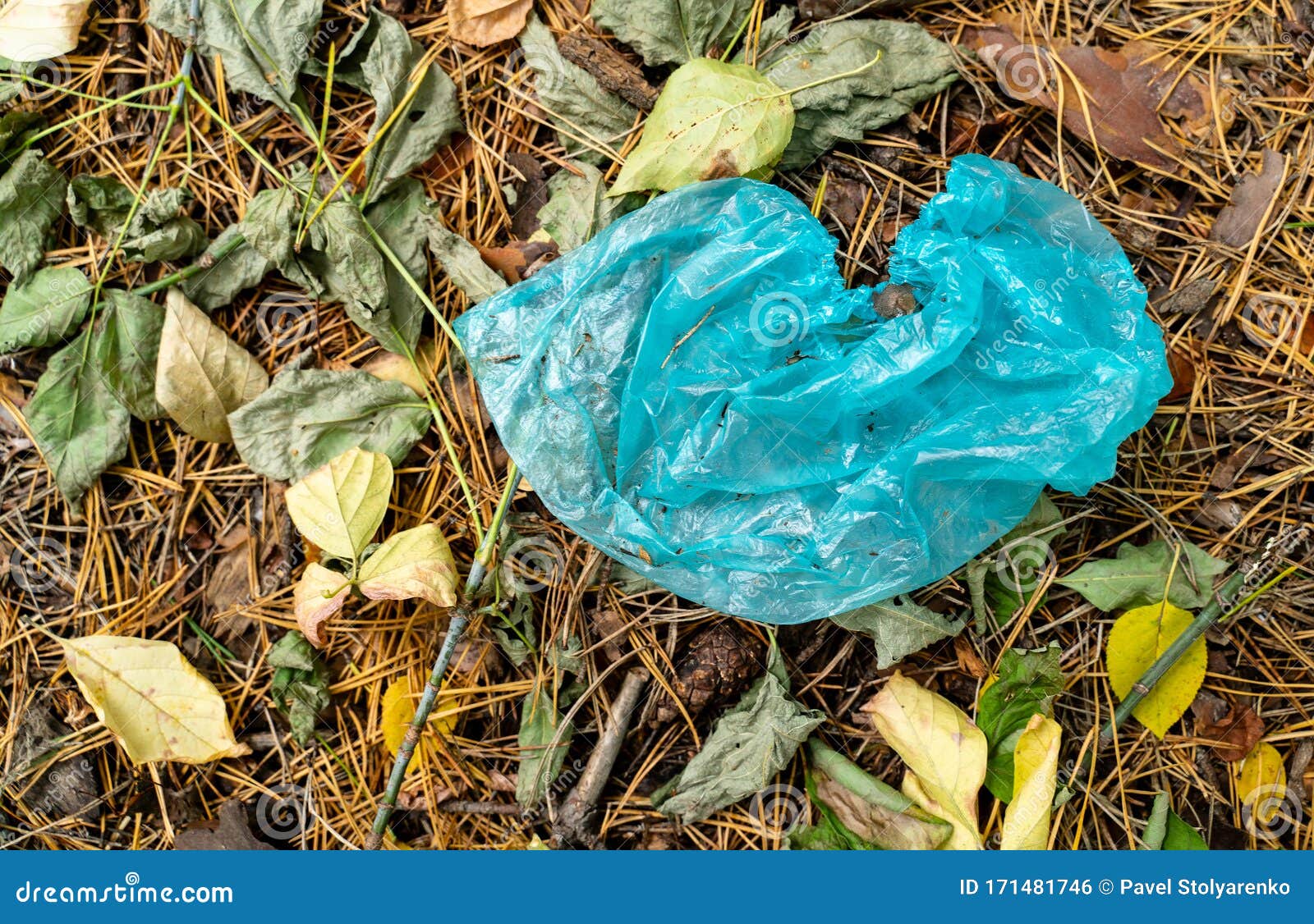 Plastic Trash in the Forest Stock Photo - Image of ecology, leaf: 171481746
