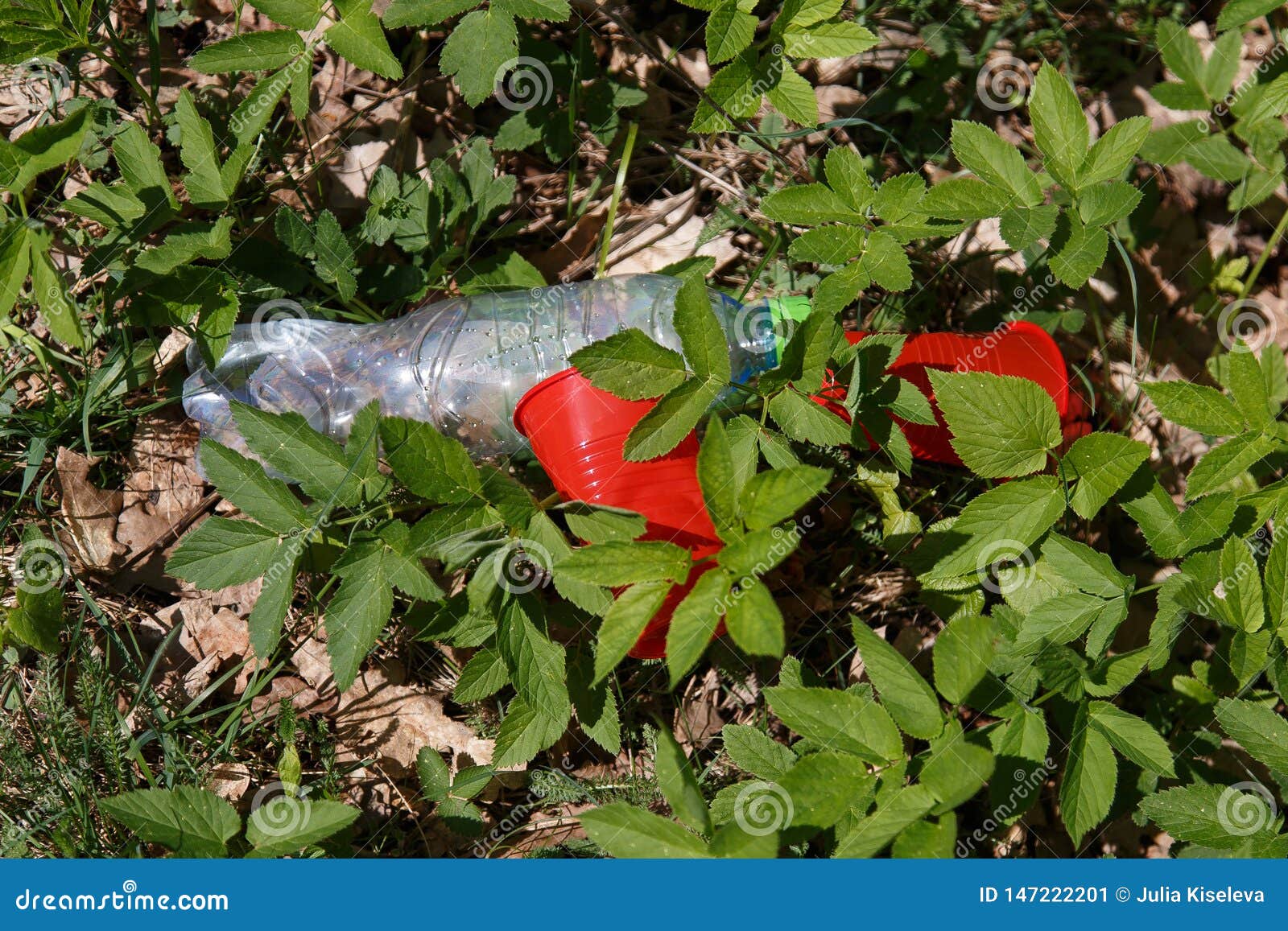 Plastic Trash in the Forest Stock Image - Image of contamination ...