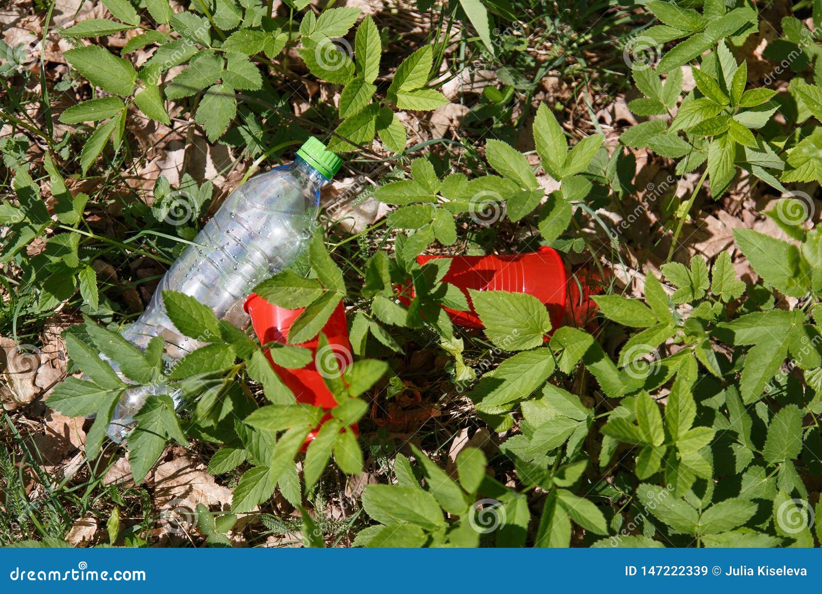 Plastic Trash in the Forest Stock Image - Image of mess, park: 147222339