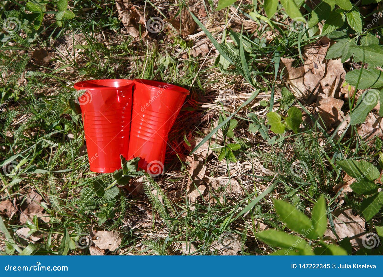 Plastic Trash in the Forest Stock Image - Image of concept, ecology ...