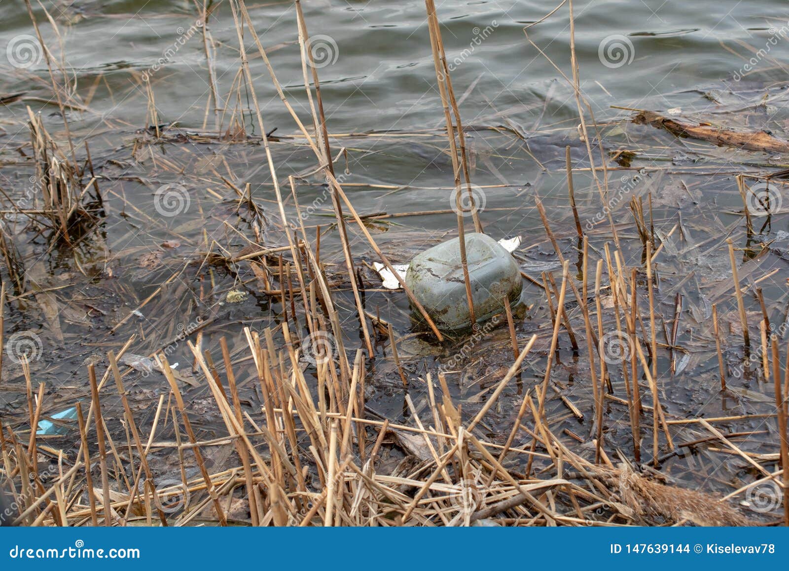 Plastic Trash in the Lake. Pollution of the Environment Stock Photo ...