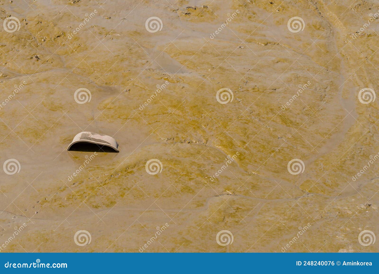 Plastic Tub Buried in Mudflats Stock Photo - Image of coast, seaside ...