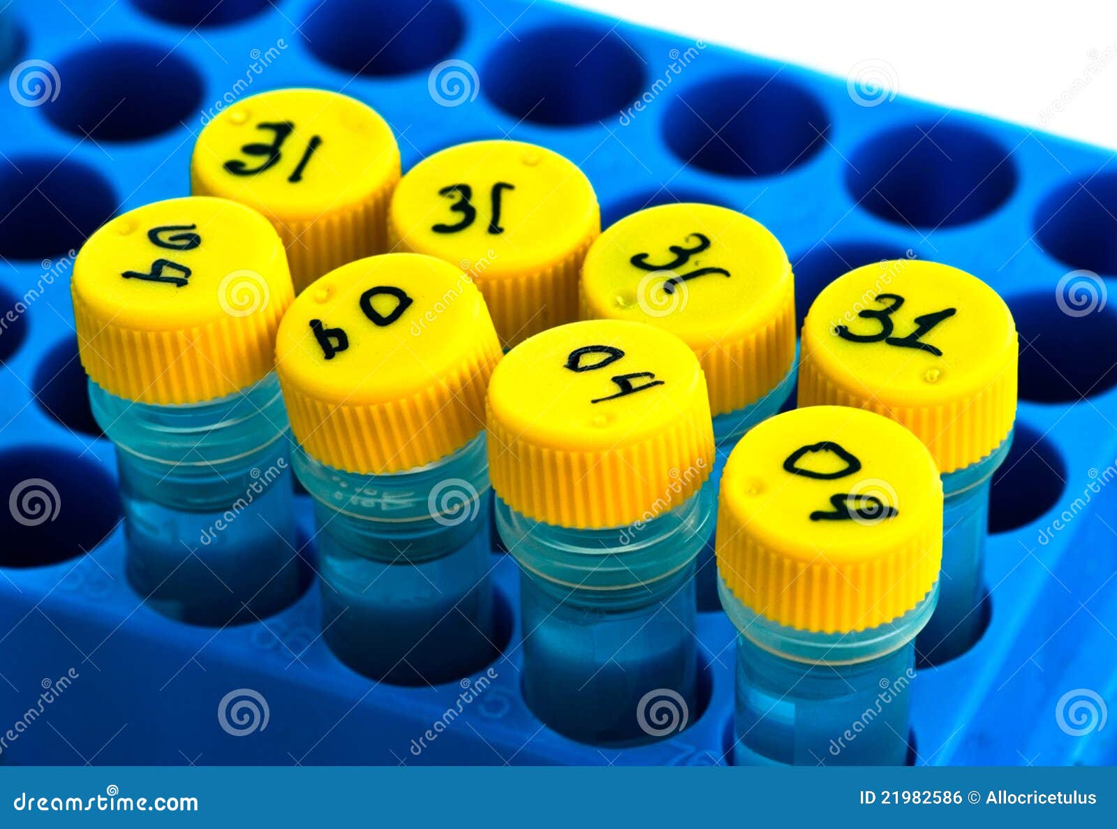 Plastic tubes stock photo. Image of science, biotechnology - 21982586