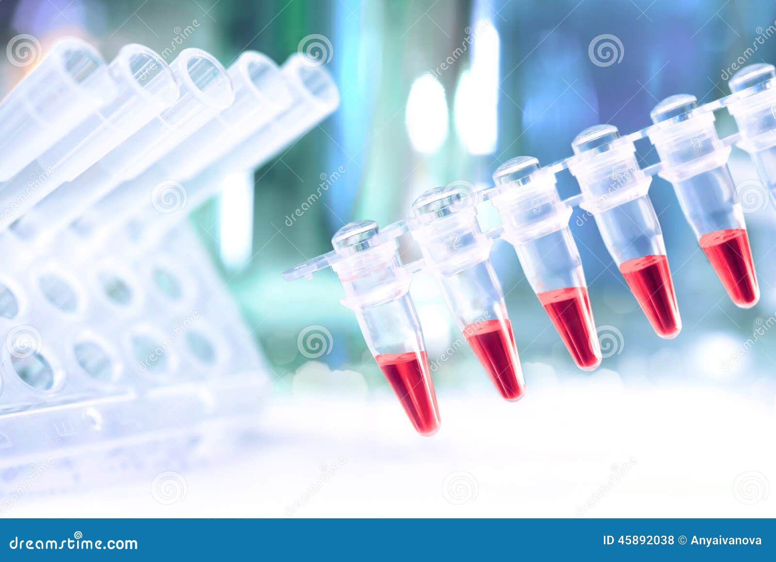 Plastic Tubes Prepared for Amplification of DNA Stock Photo - Image of ...