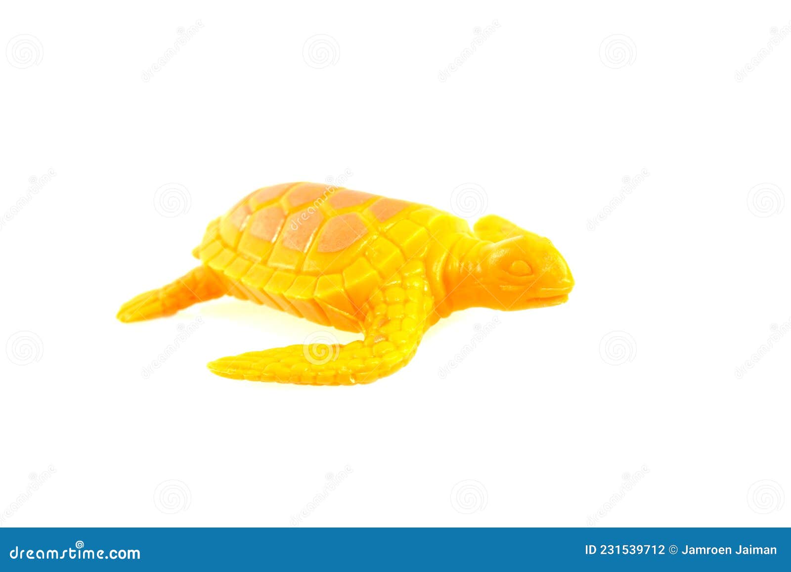 Plastic Turtle Toy Isolated on White Background Stock Photo - Image of ...