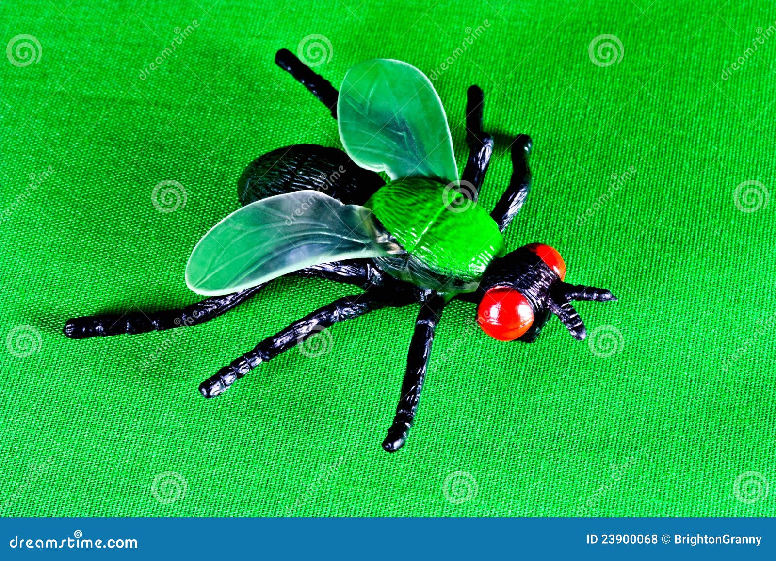 Plastic vlieg stock foto. Image of insect, schepsel, realistisch - 23900068