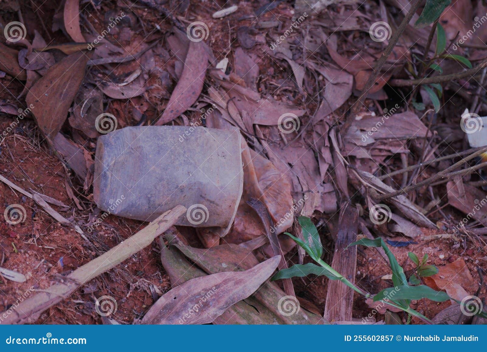 Plastic Waste Can Damage Nature Stock Image - Image of rubbish, garbage ...