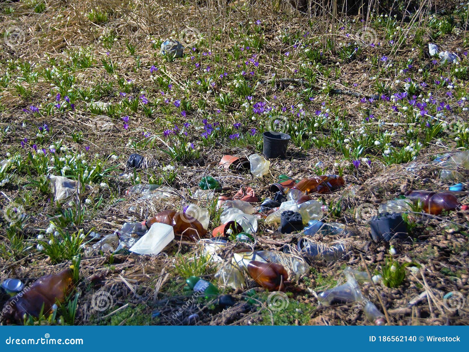Plastic Waste Dumped in Nature during Daytime Stock Photo - Image of ...