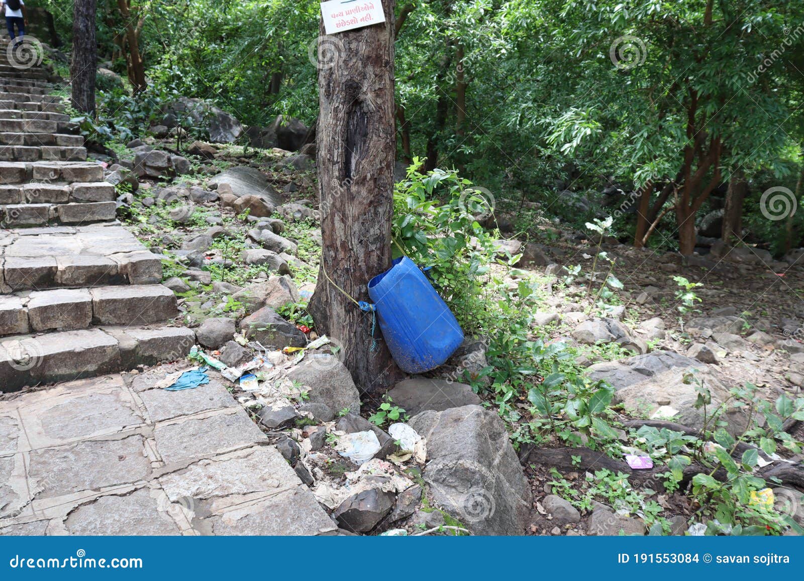 Plastic Waste in the Forest Climate Change. Stock Photo - Image of rock ...