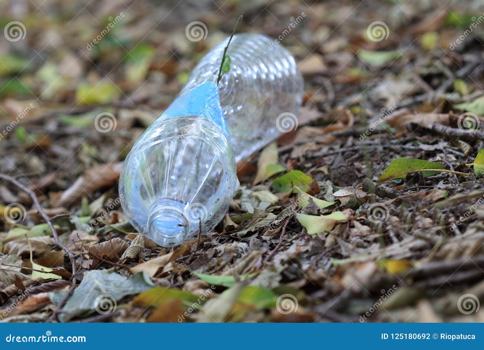 Plastic waste in a forest stock photo. Image of recycling - 125180692
