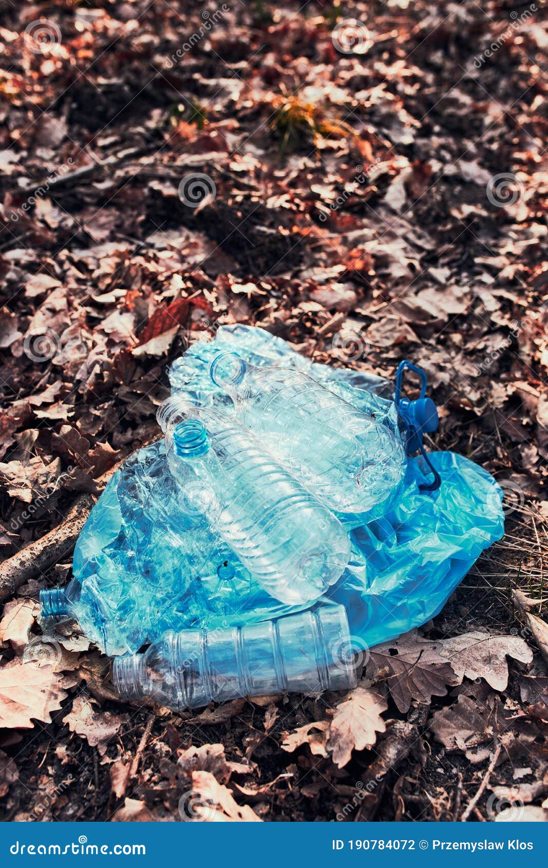 Plastic Waste Left in Forest Stock Photo - Image of issue, leaves ...