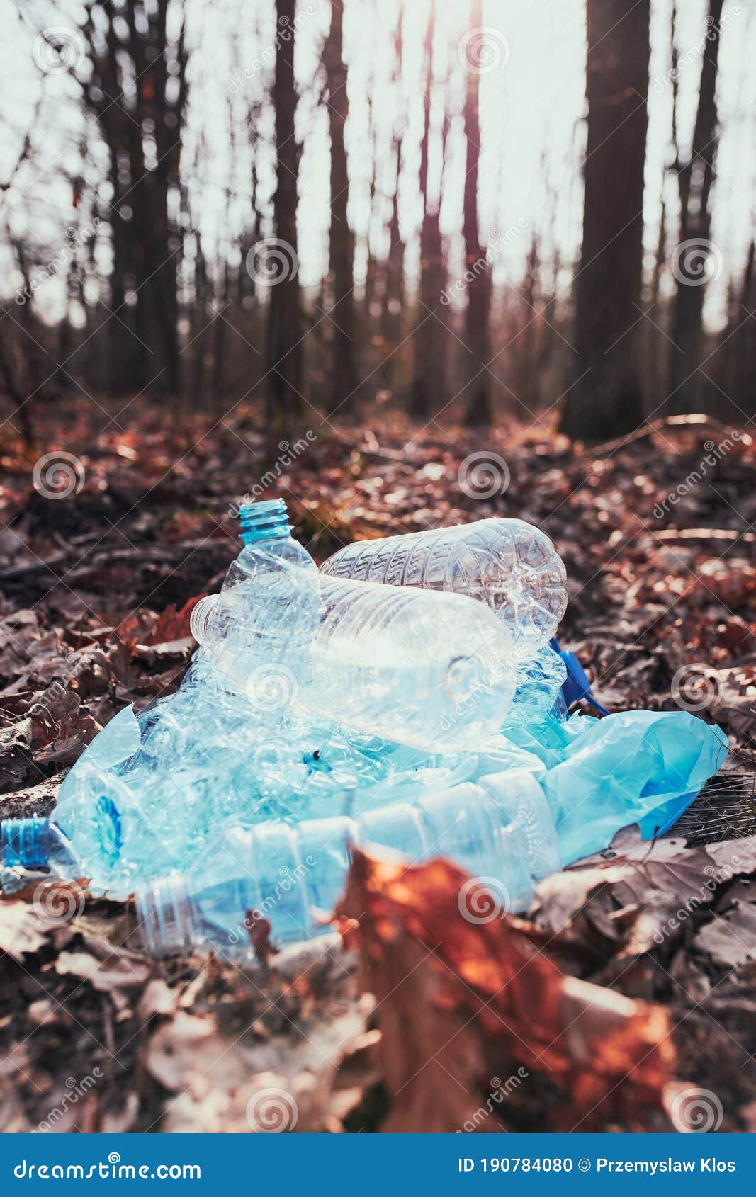 Plastic Waste Left in Forest Stock Photo - Image of situations, junk ...
