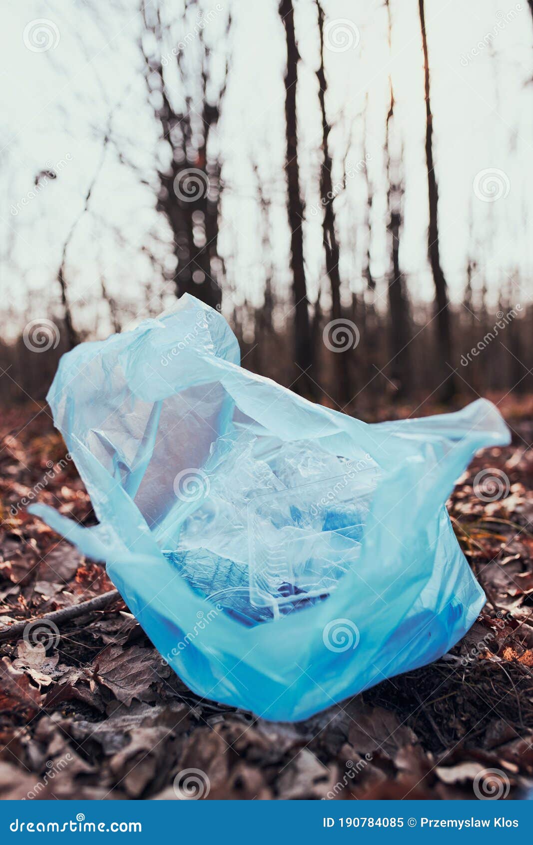 Plastic Waste Left in Forest Stock Image - Image of garbage, leaves ...