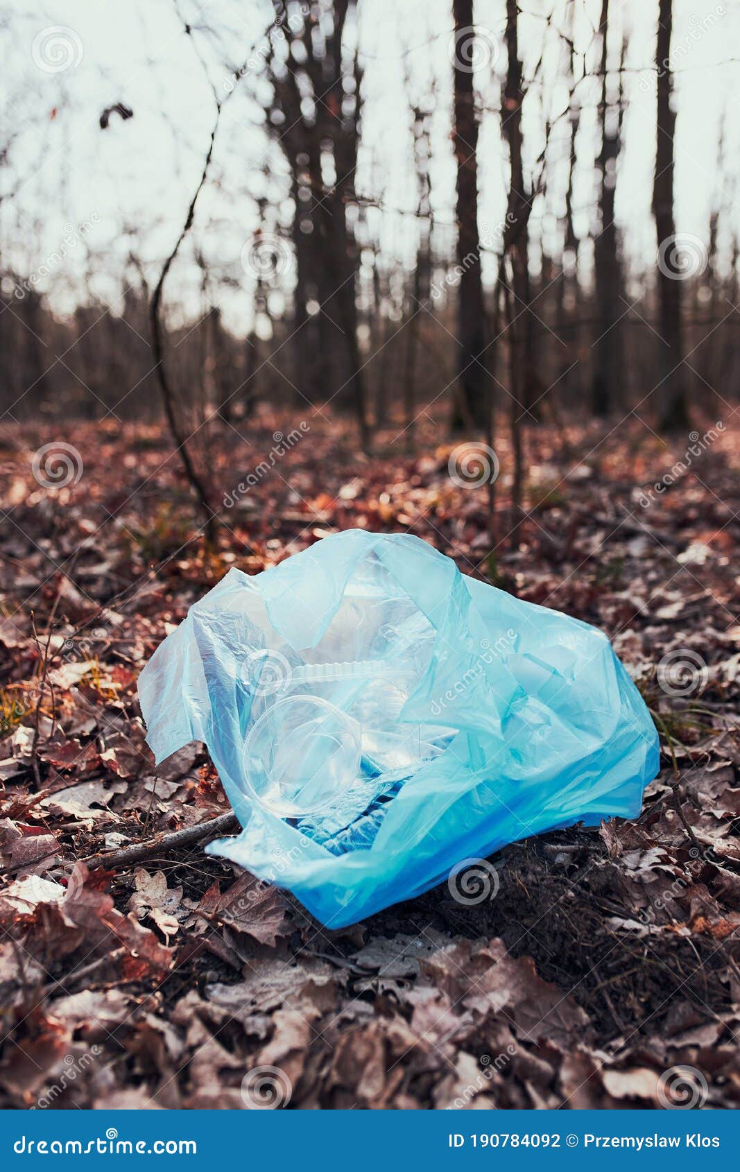 Plastic Waste Left in Forest Stock Photo - Image of protection, plastic ...
