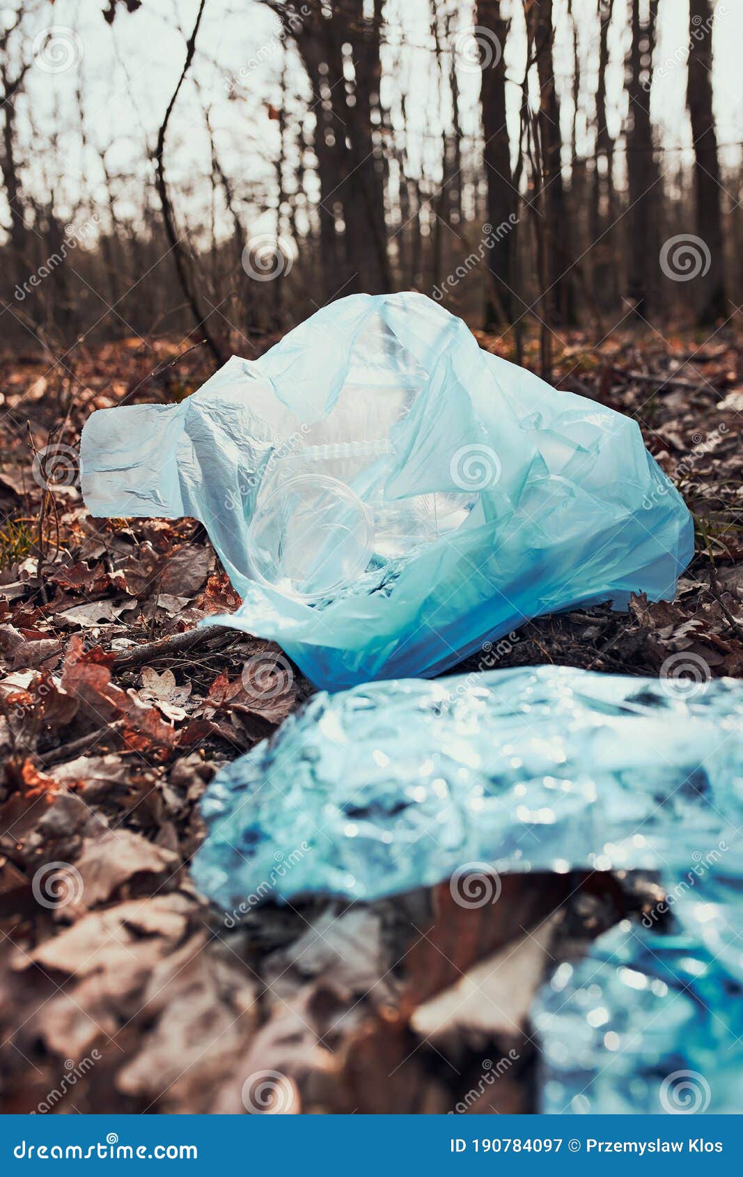 Plastic Waste Left in Forest Stock Image - Image of earth, picking ...