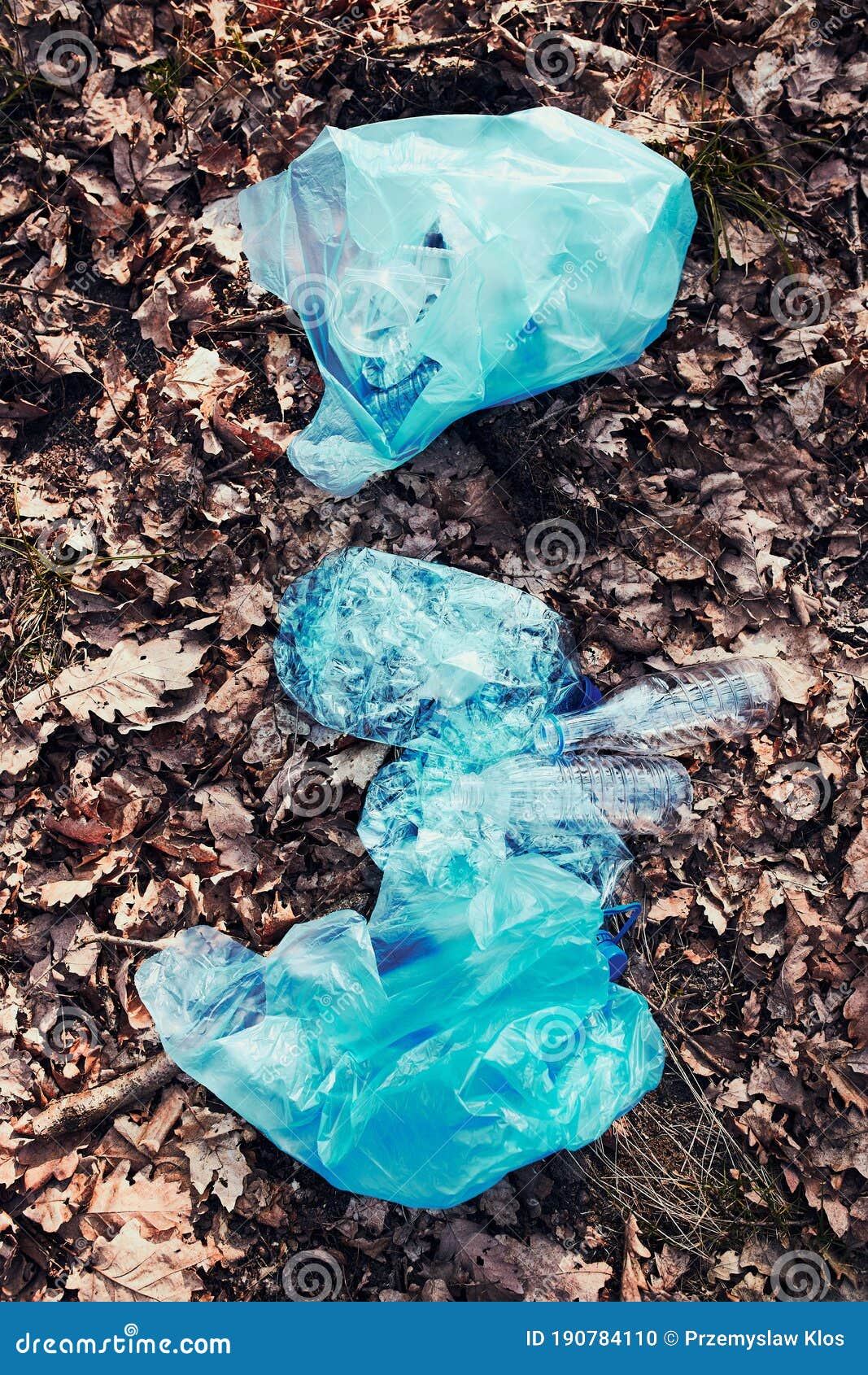 Plastic Waste Left in Forest Stock Photo - Image of environment ...