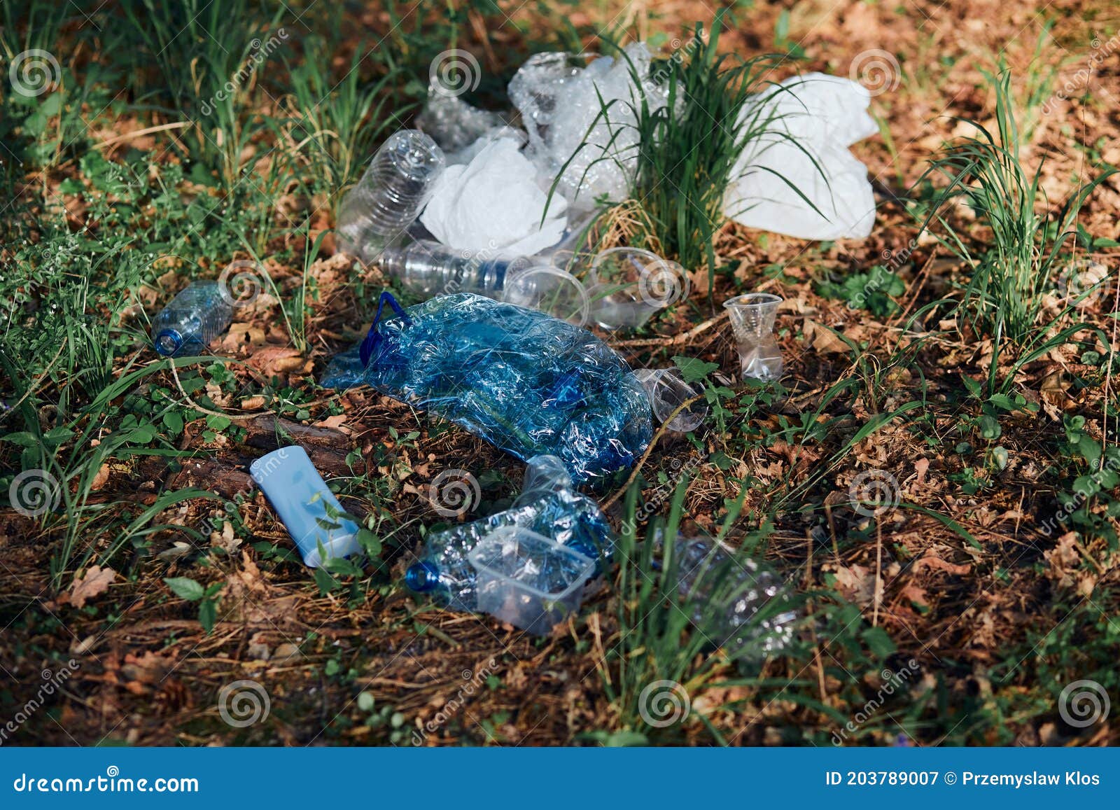 Plastic Waste Left in Forest Stock Image - Image of leaves, child ...