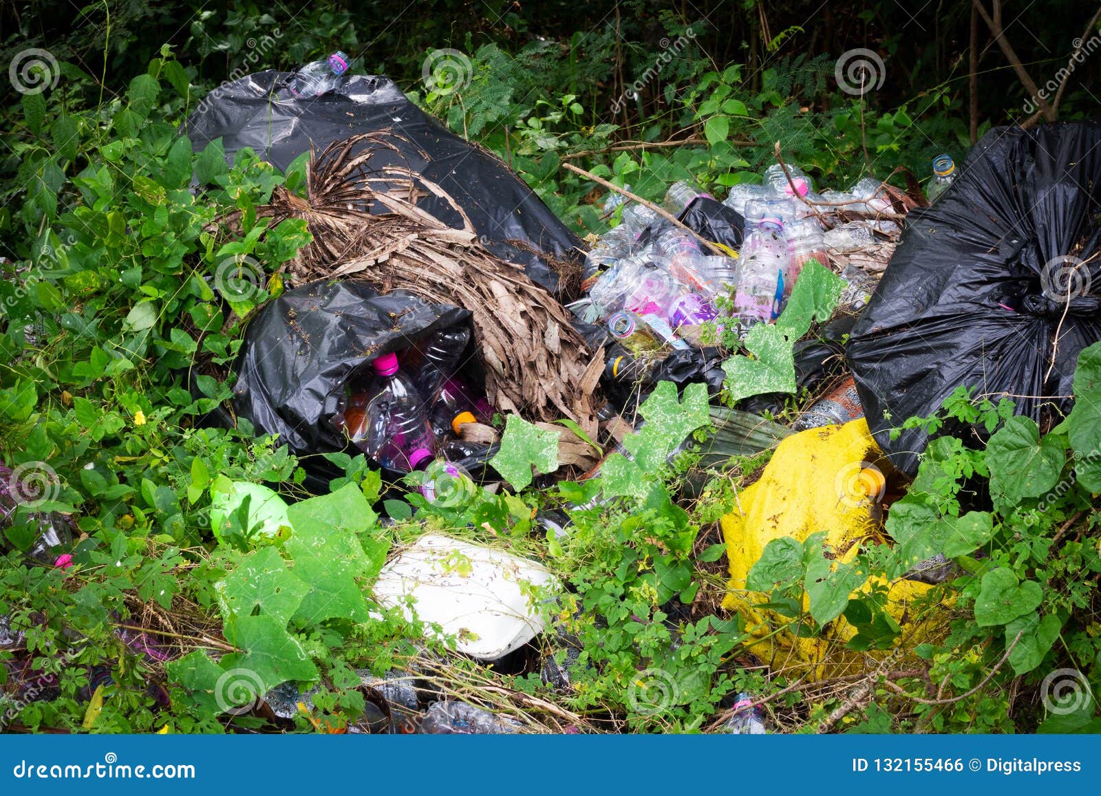 Plastic Waste in the Nature Stock Photo - Image of dirty, garbage ...